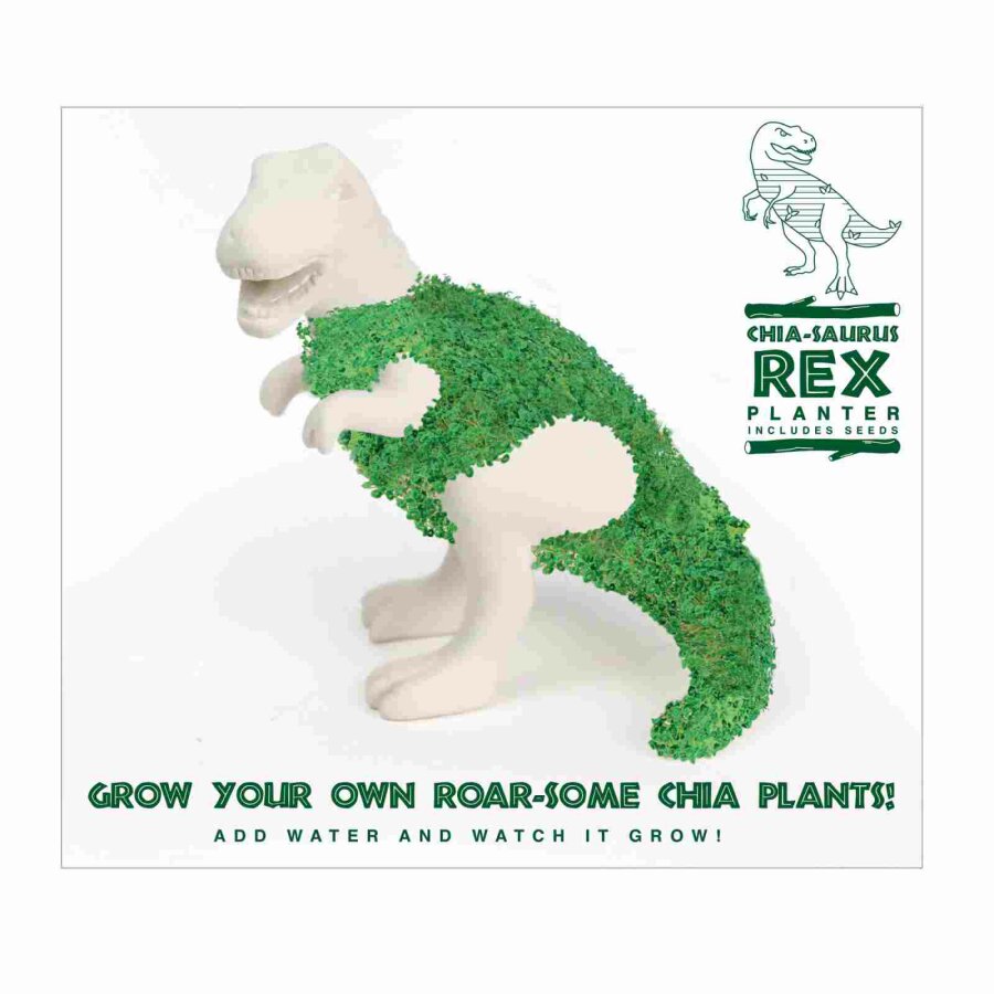 Gift Republic Pflanztier Chia-Saurus Rex